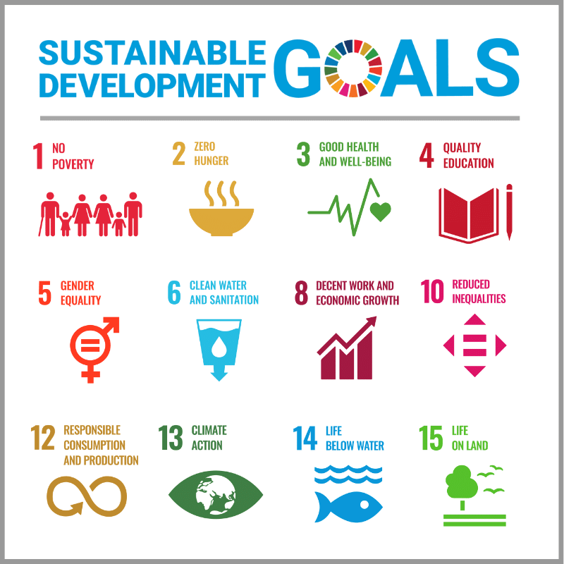 2030 Sustainable Development Goals - Impact 12 UN 2030 SDGs
