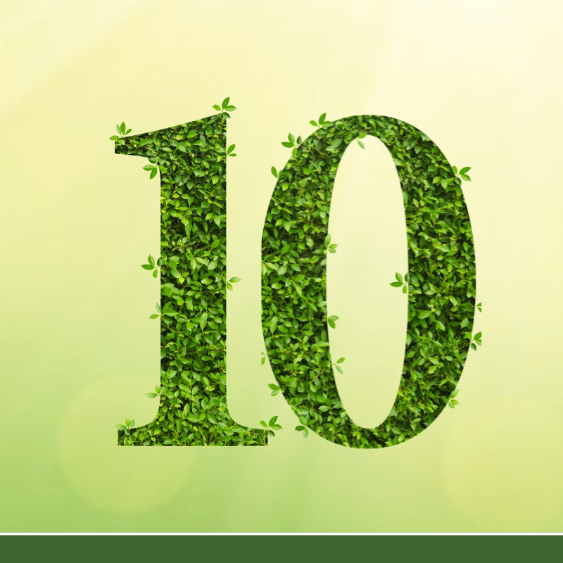 Environmental Charity: 10 Keys for a Climate Change Donation